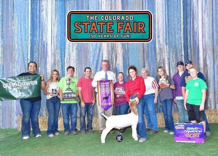 Blue Team Wethers | WINNERS